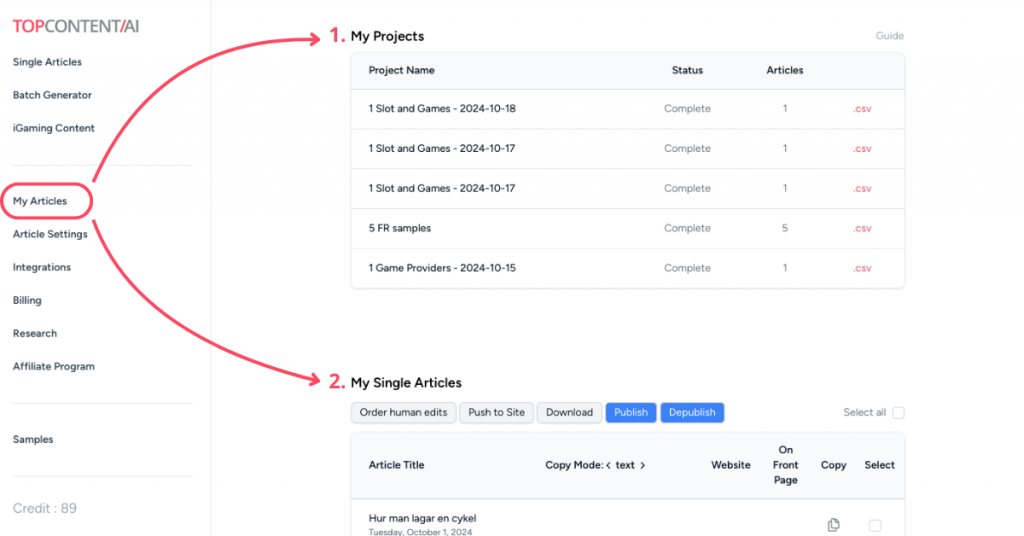 My Articles – Topcontent/AI Documentation & Guides